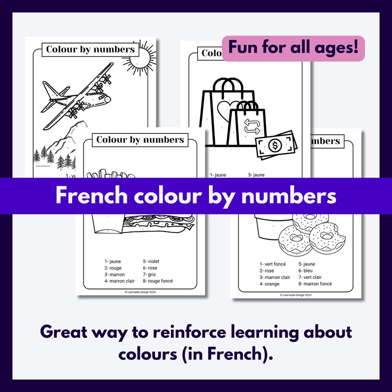 French Vocabulary Color by Numbers Worksheet for Middle and High School ...