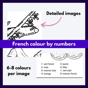 French Vocabulary Color by Numbers Worksheet for Middle and High School ...