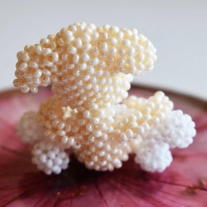 3D Tutorial Beaded Animals Kit, Custom Dog, Beaded Animals Pattern ...