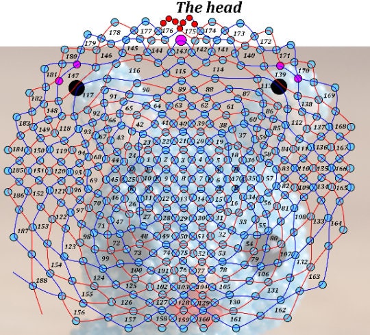 How to Make Easy Beaded Animal Rabbit. 3d Beading Tutorial, 3d Bead ...