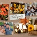 Fall Family Photo Templates Fall Family Photo Photo Templates Family ...