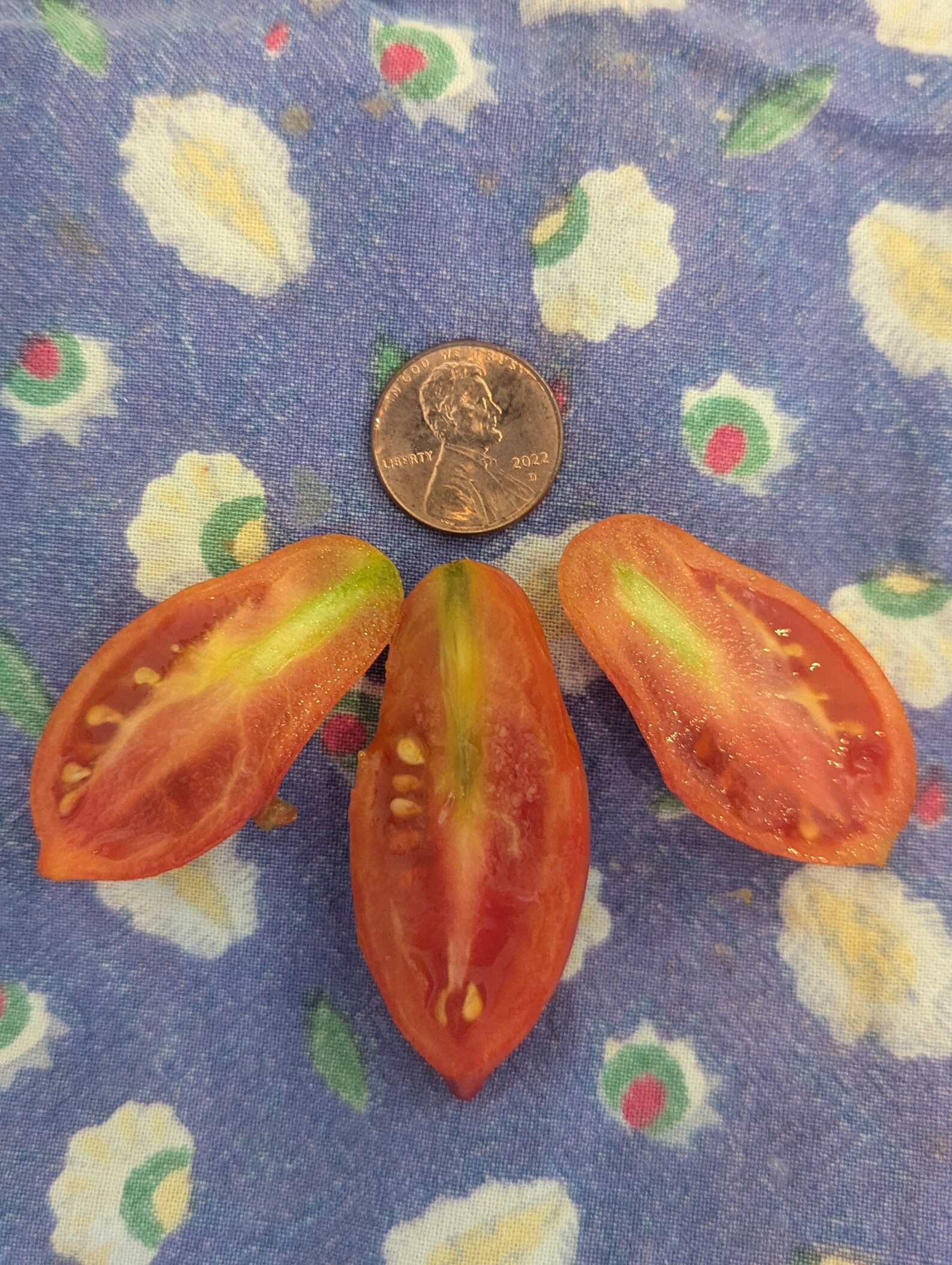 Prairie Fire Heirloom Tomato 20+ Seeds and Free Basil Seeds With Your ...