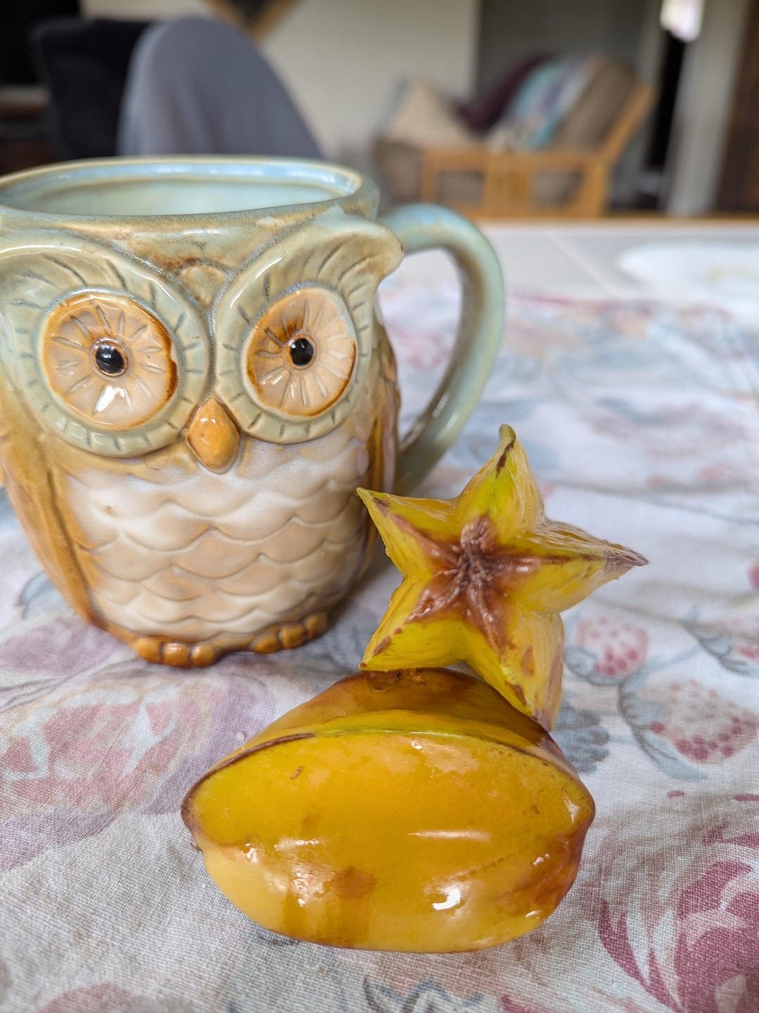 Starfruit 11 Seeds (averrhoa Carambula) Eleven Seeds - Etsy