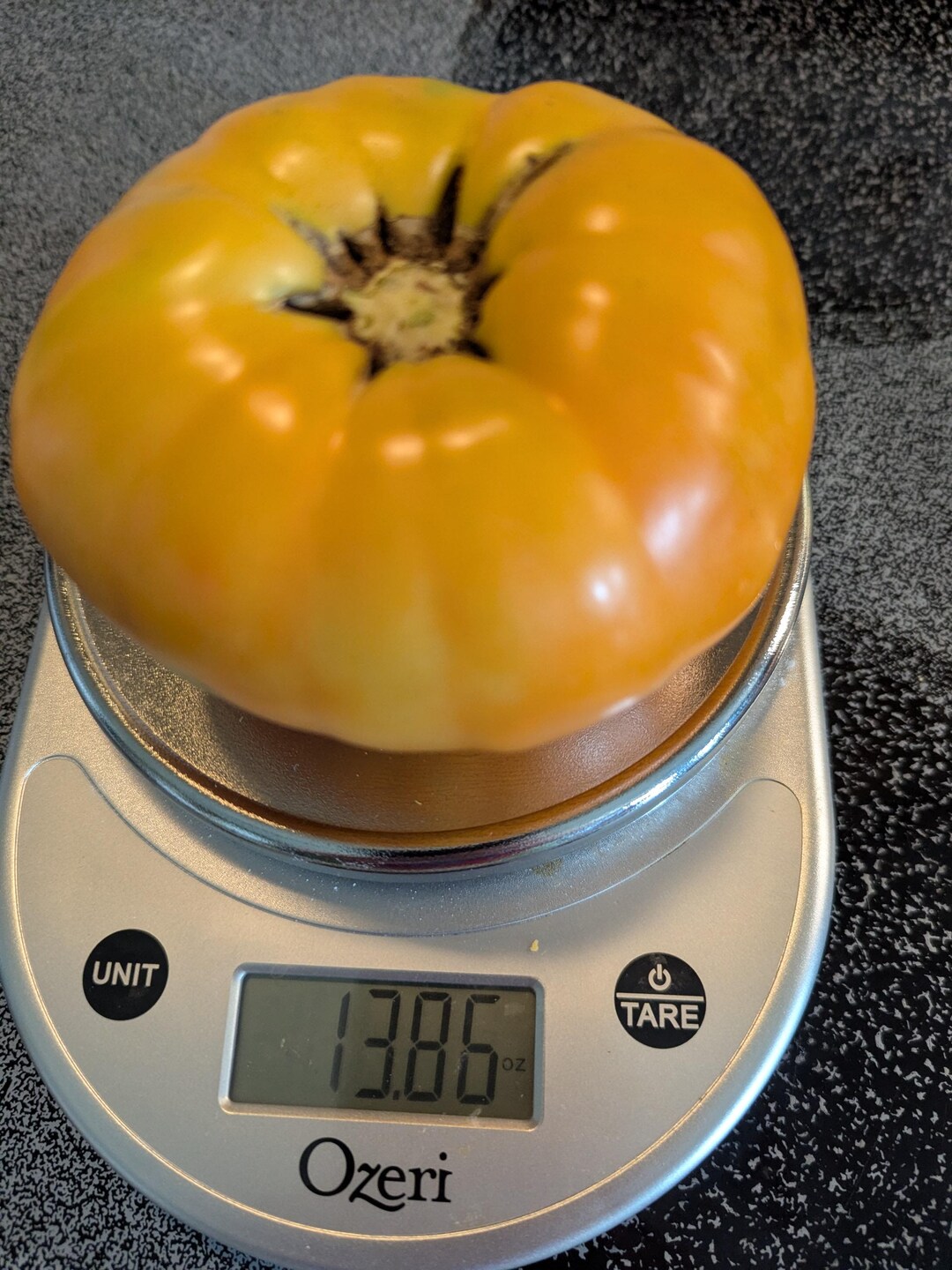 Orange Orangutan Heirloom Tomato 30+ Seeds and Free Seeds With Your ...