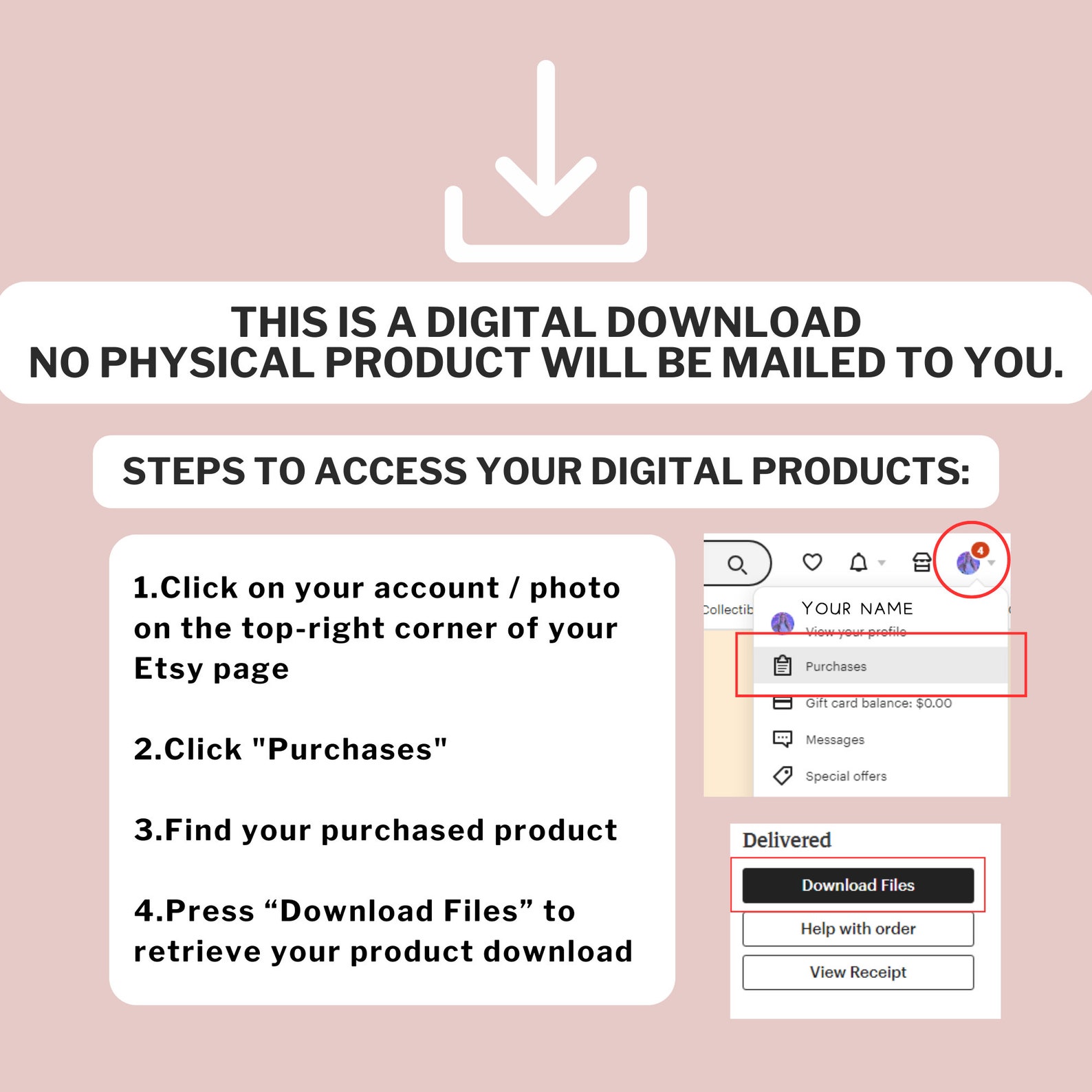 Meet the Occupational Therapist / OT Editable Canva Template | Back to ...
