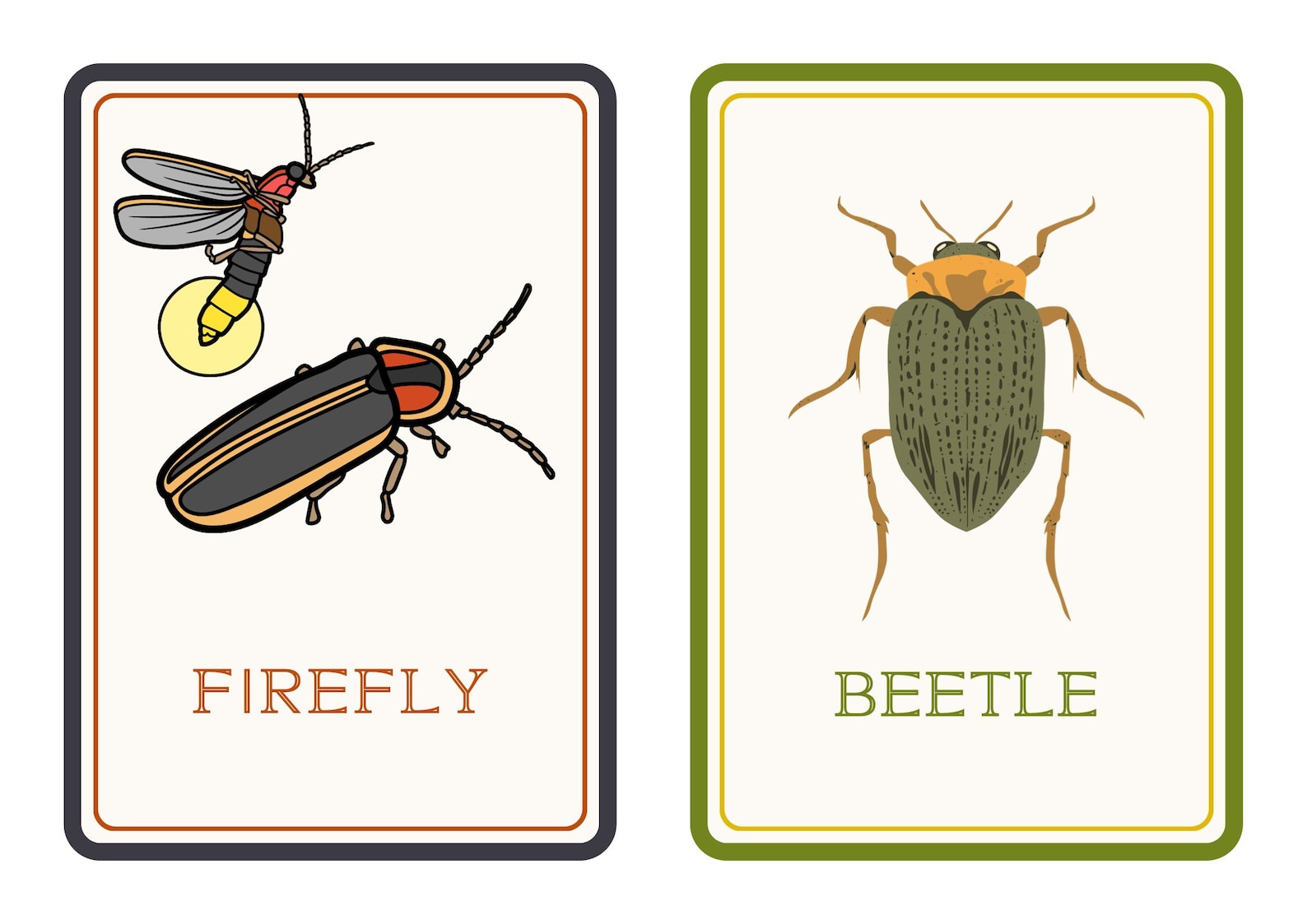 Flash Cards, Insect Flash Cards, Toddler Flash Cards, Learning Tools ...