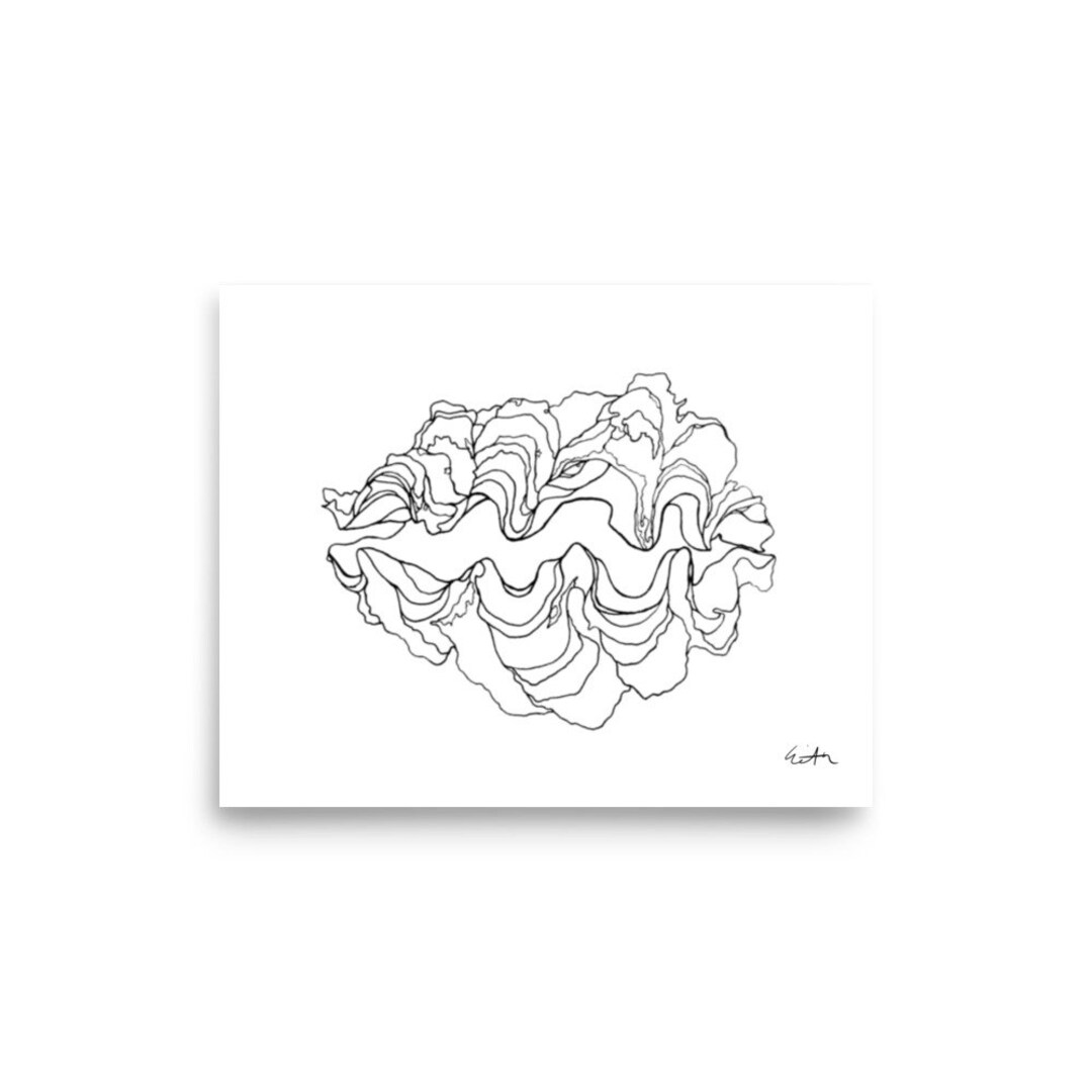 Opening Oyster Print, Line Drawing, Oyster Shell, Oyster Drawing ...