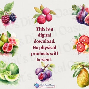 Watercolor Fruit Clipart Transparent PNG 10x10 Inches 300 - Etsy