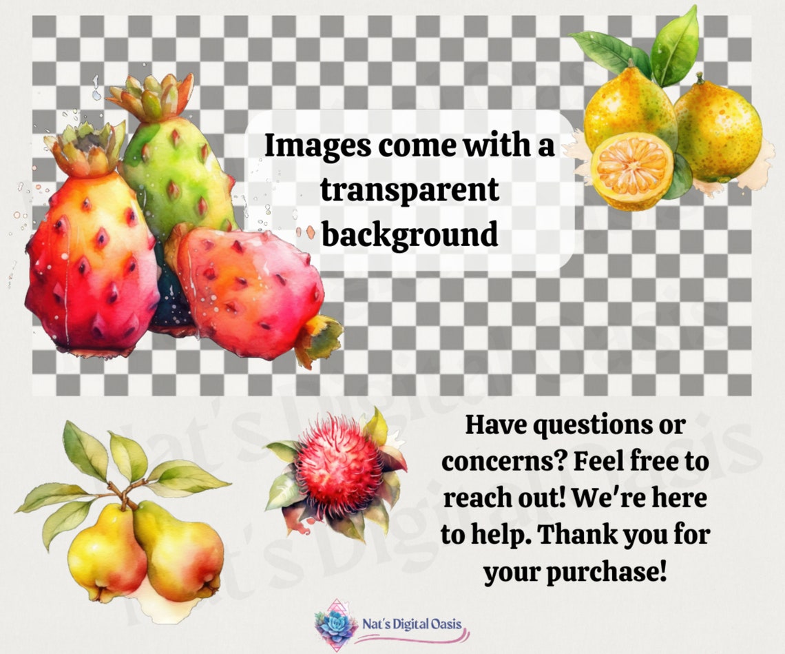 Watercolor Fruit Clipart Transparent PNG 10x10 Inches 300 - Etsy