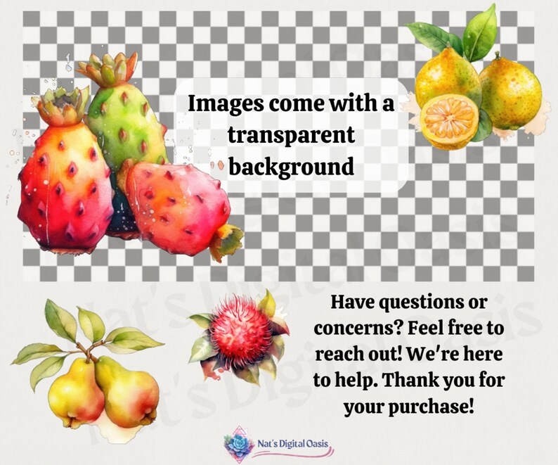 Watercolor Fruit Clipart Transparent PNG 10x10 Inches 300 - Etsy