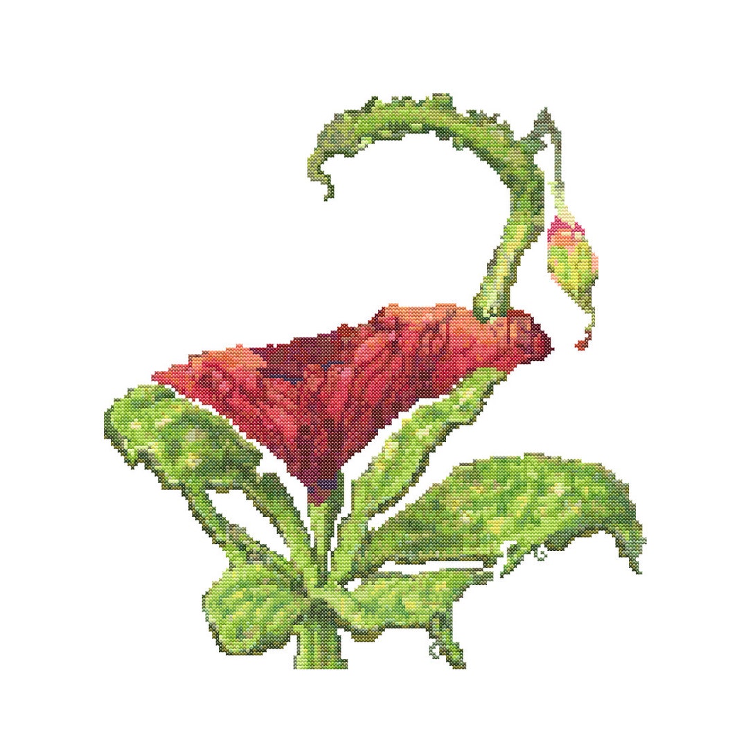 Rafflesia Plant Cross Stitch Pattern - Etsy
