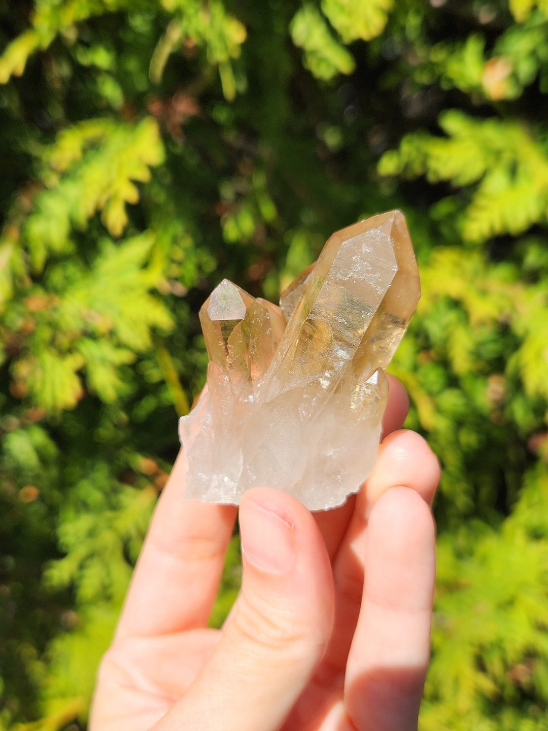 Smoky Quartz Cluster, Smoky Quartz Point, Raw Smoky Quartz, Crystal Cluster, Natural Smoky ...