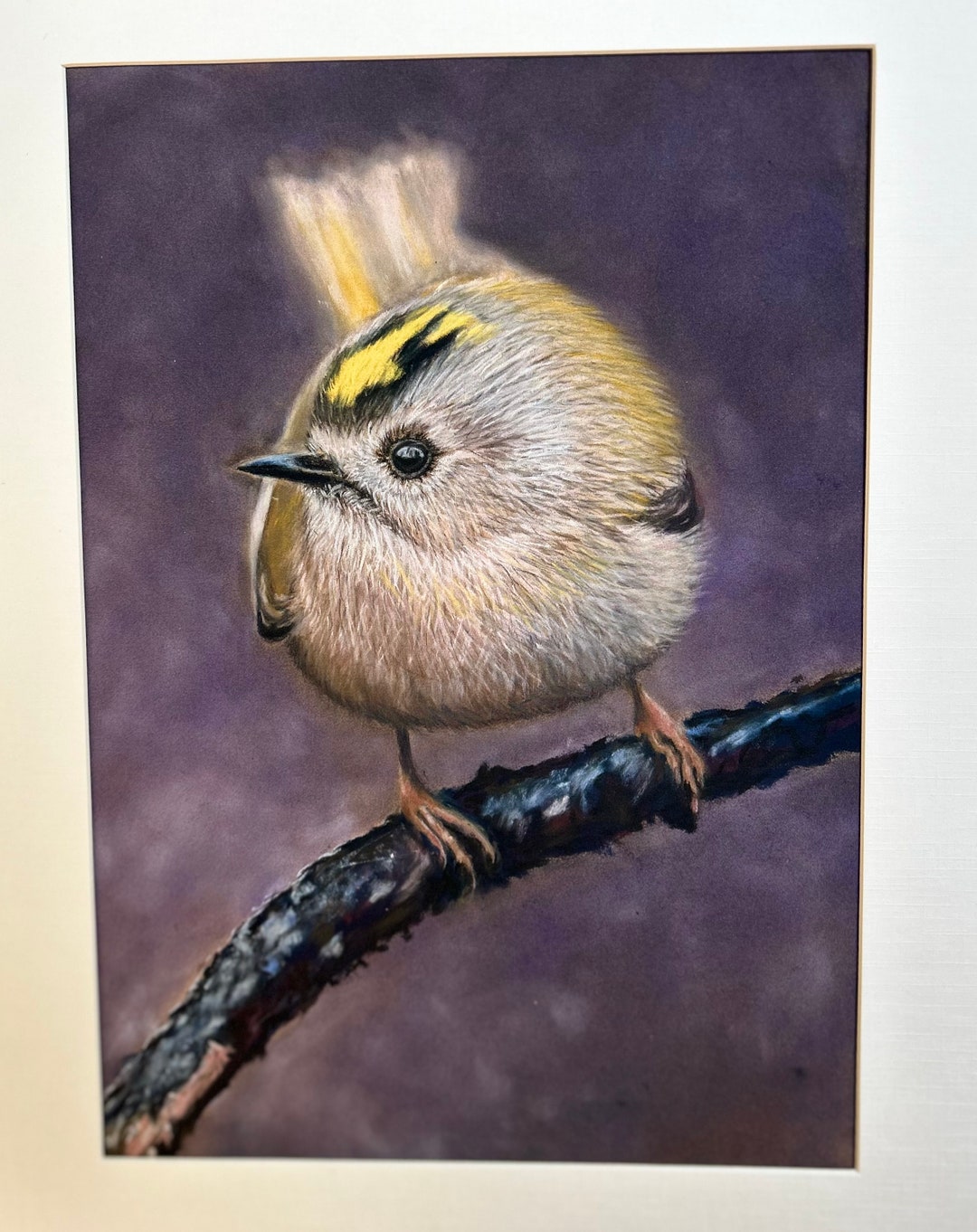 Goldcrest Giclee Print A4, Mounted and Backed. Bird Art. - Etsy