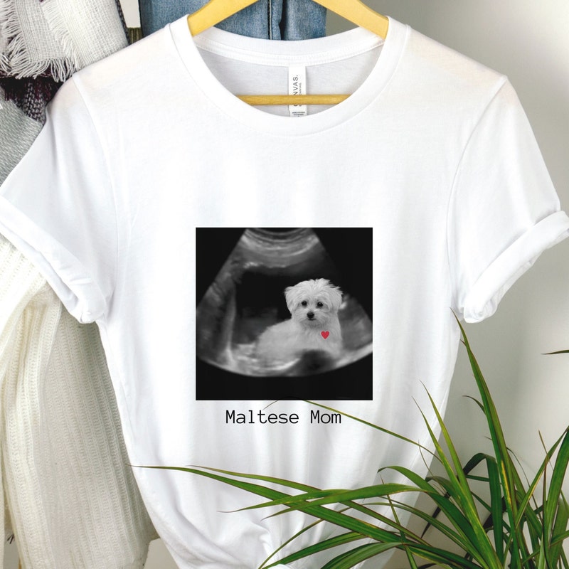 Maltese Gifts - 60+ Gift Ideas for 2024