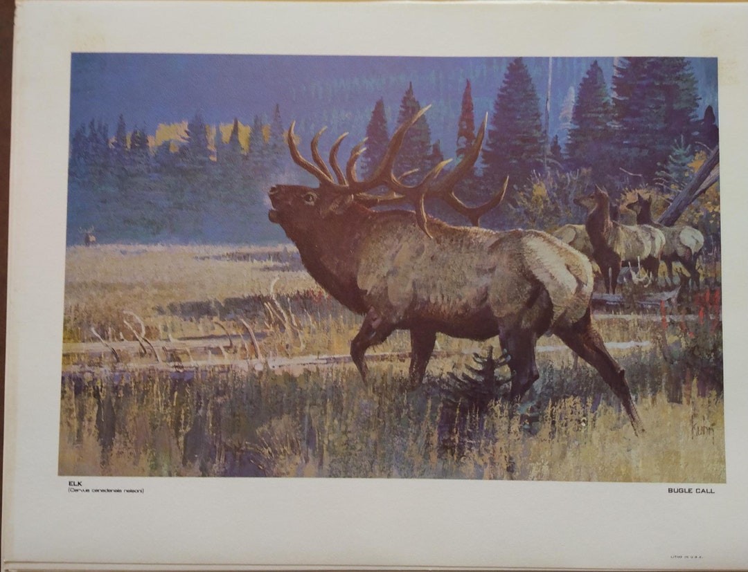 12 Remington's Portfolio of Big Game of North America Lithographs - Etsy