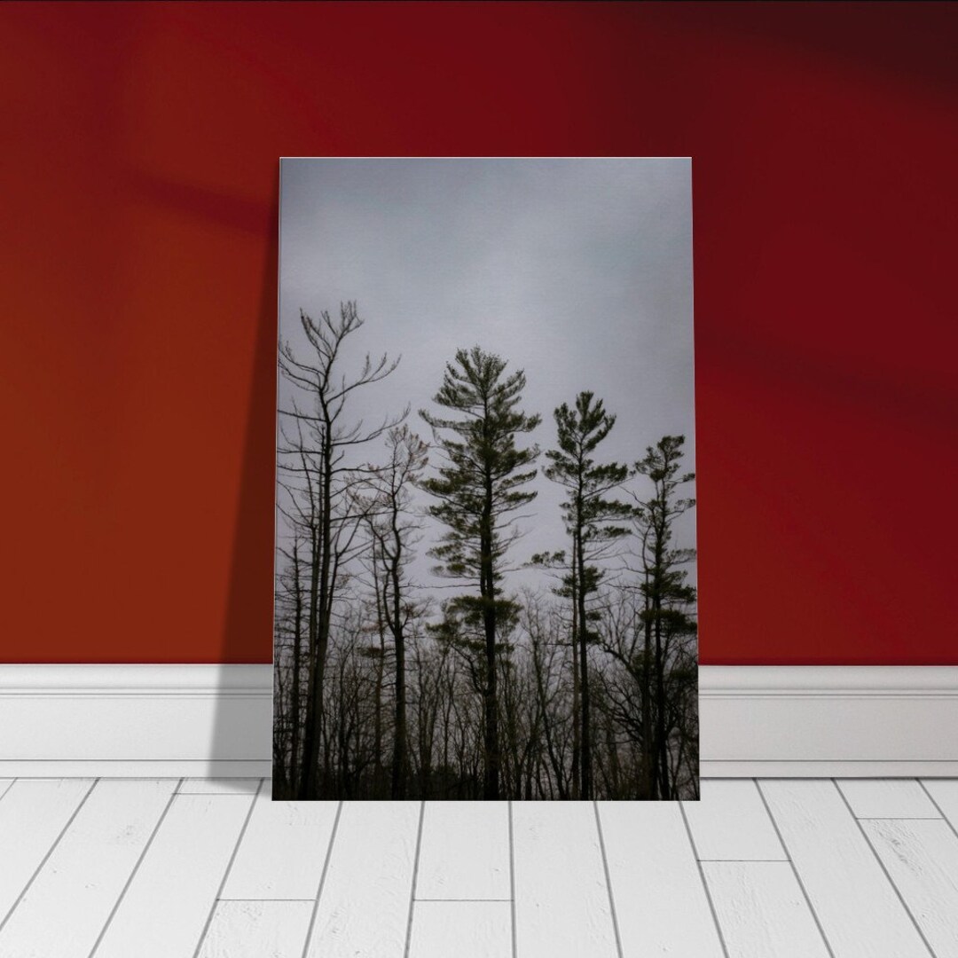 Five Trees, Five Brothers - Etsy