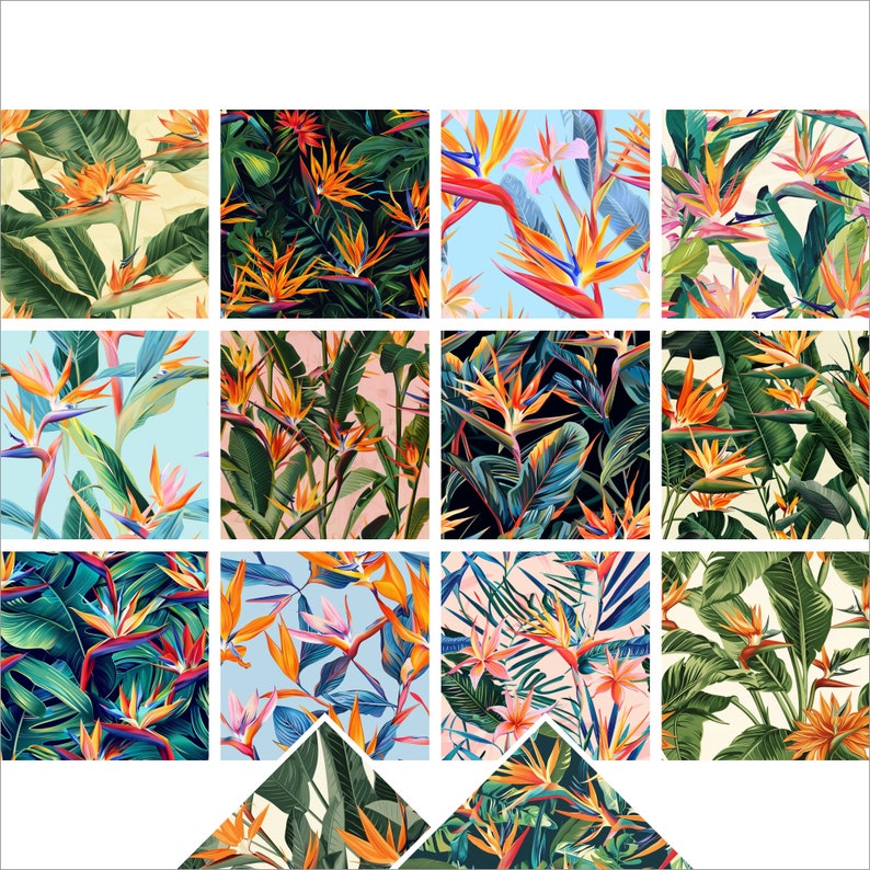 12 Seamless Bird of Paradise Backgrounds Digital Paper Patterns for ...