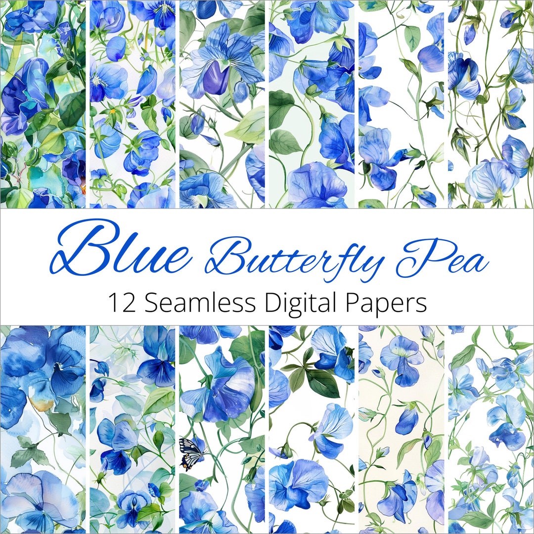 Delicate Blue Butterfly Pea Watercolor Digital Paper Pack - Set of 12 ...