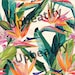 12 Seamless Bird of Paradise Backgrounds Digital Paper Patterns for ...
