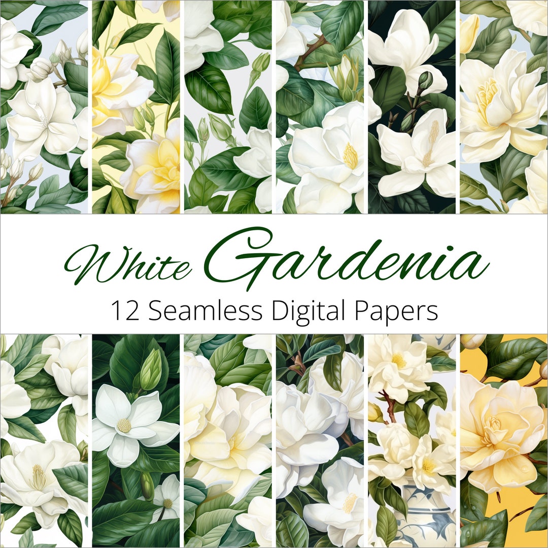 12 Seamless White Gardenia Digital Paper Patterns for Weddings ...