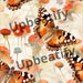 12 Seamless Red Butterfly Backgrounds Digital Paper Patterns for ...