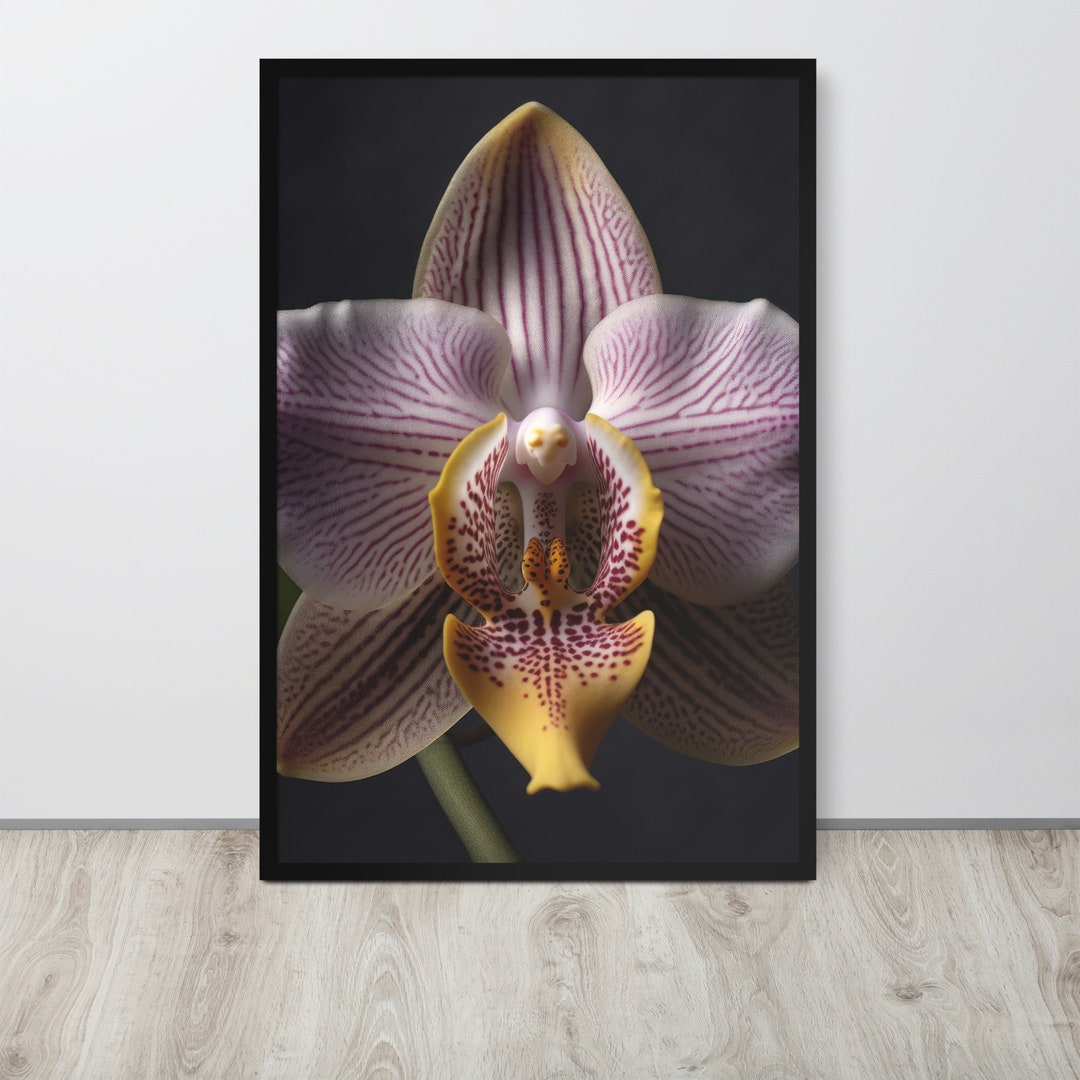 Orchid Marcro Photography Framed Artwork, Framed Art, Home Decor, Wall ...