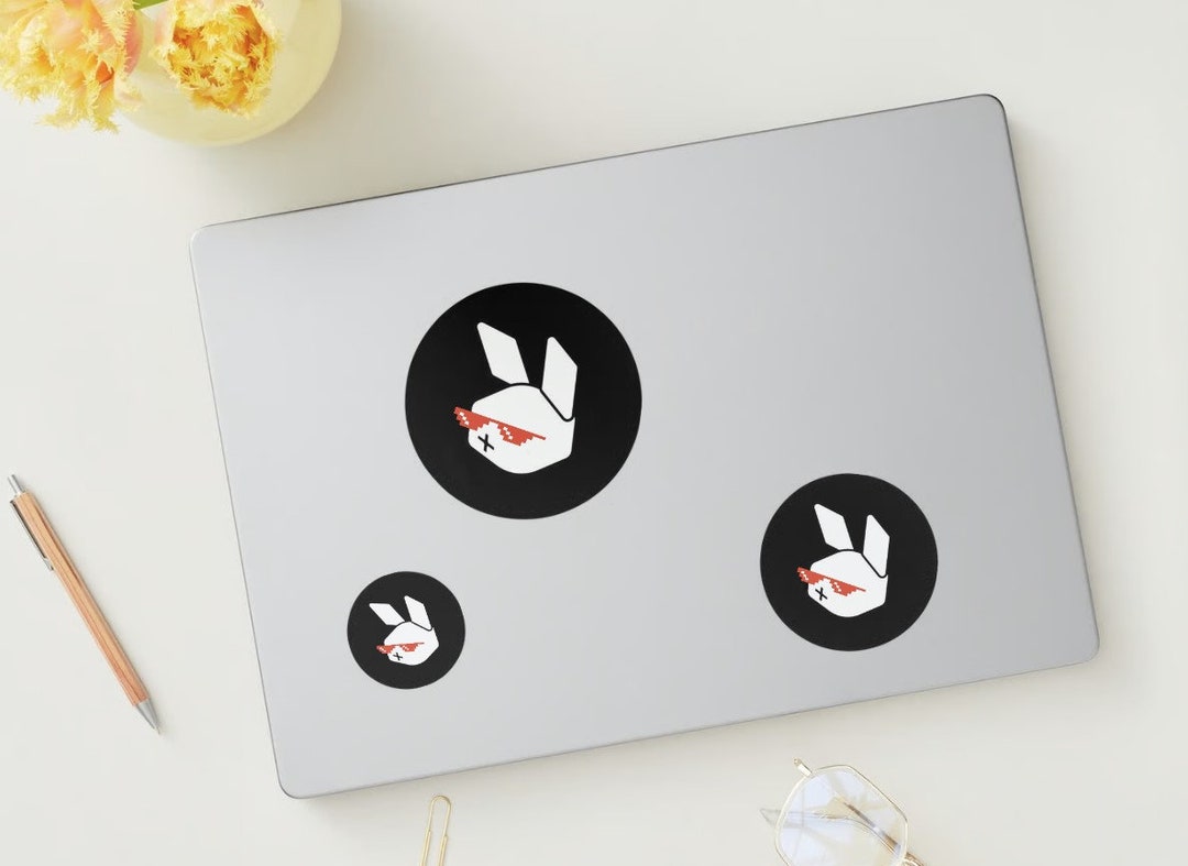 Rabbit R1 Custom Set 1 Sticker, Laptop Vinyl, Tech Sticker - Etsy