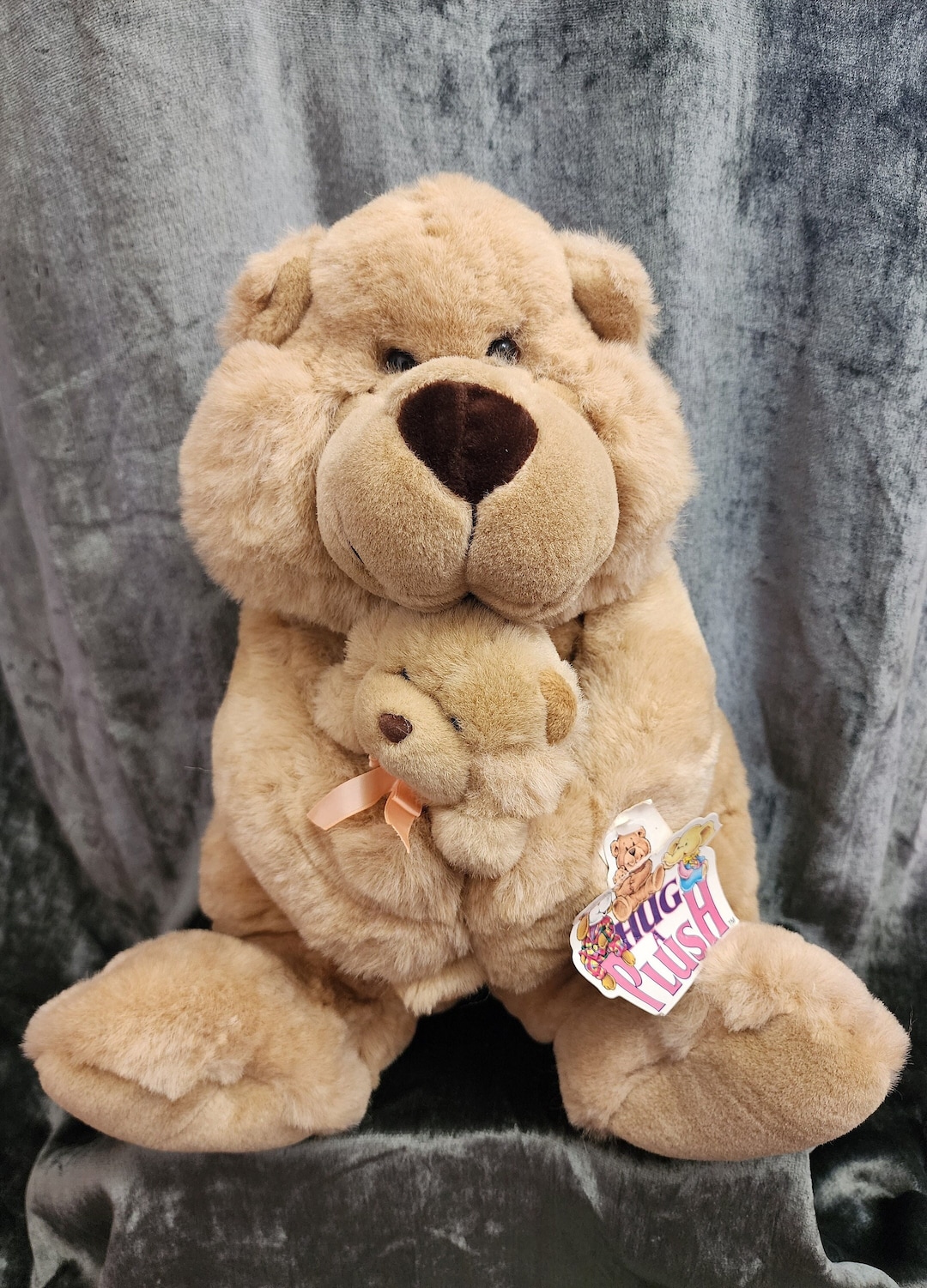 Hug a Plush Teddy Bear - Etsy