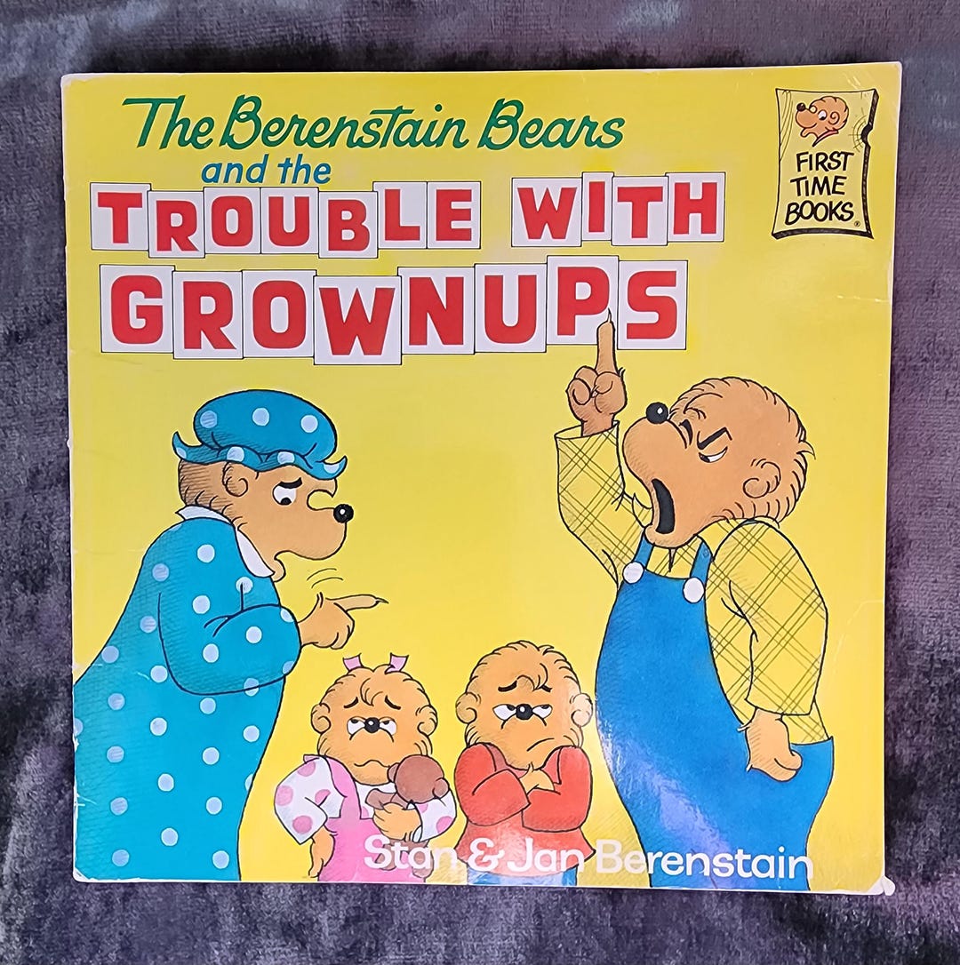 The Berenstain Bears and the Trouble With Grown Ups - Etsy