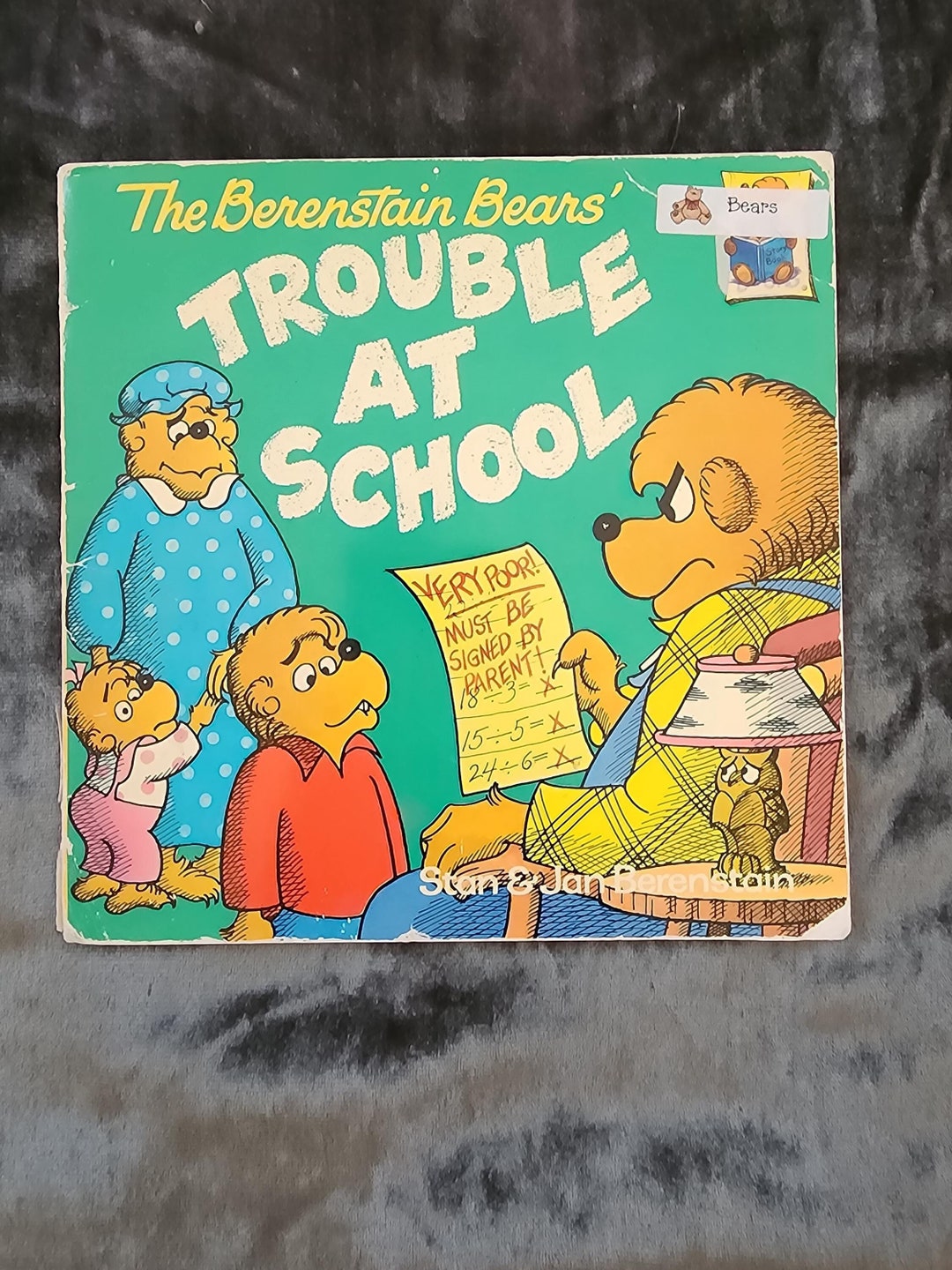 The Berenstain Bears- Trouble at School - Etsy