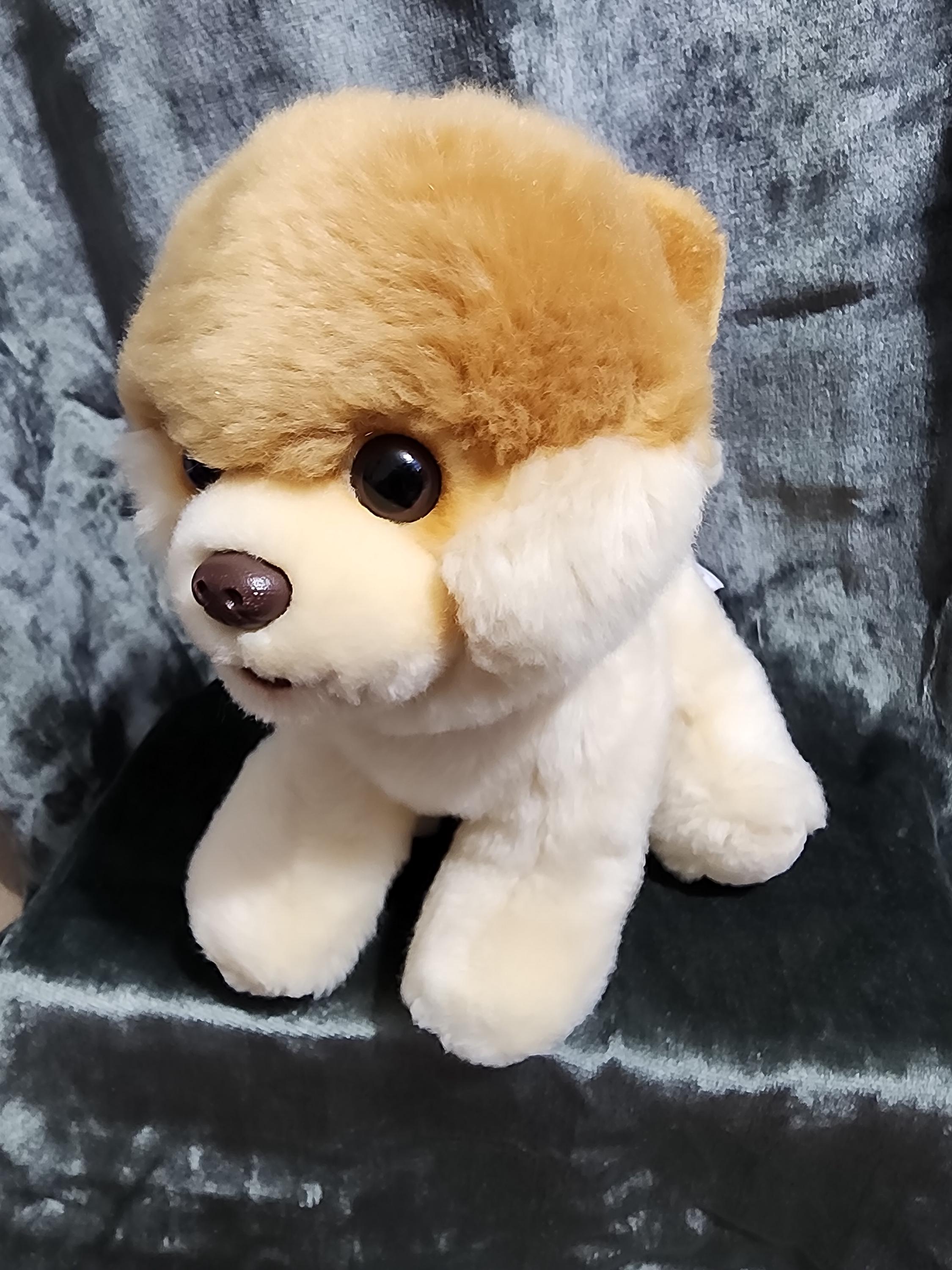Worlds Cutest Dog Gund Plush - Etsy