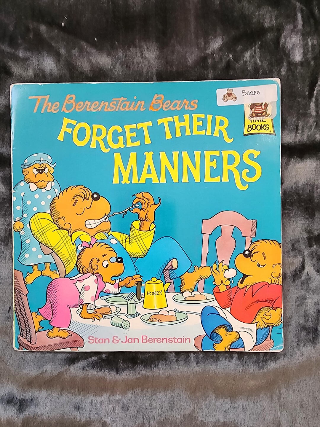 The Berenstain Bears- Forget Their Manners - Etsy