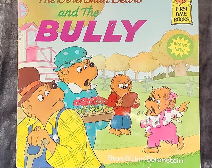 The Berenstain Bears and the Bully - Etsy