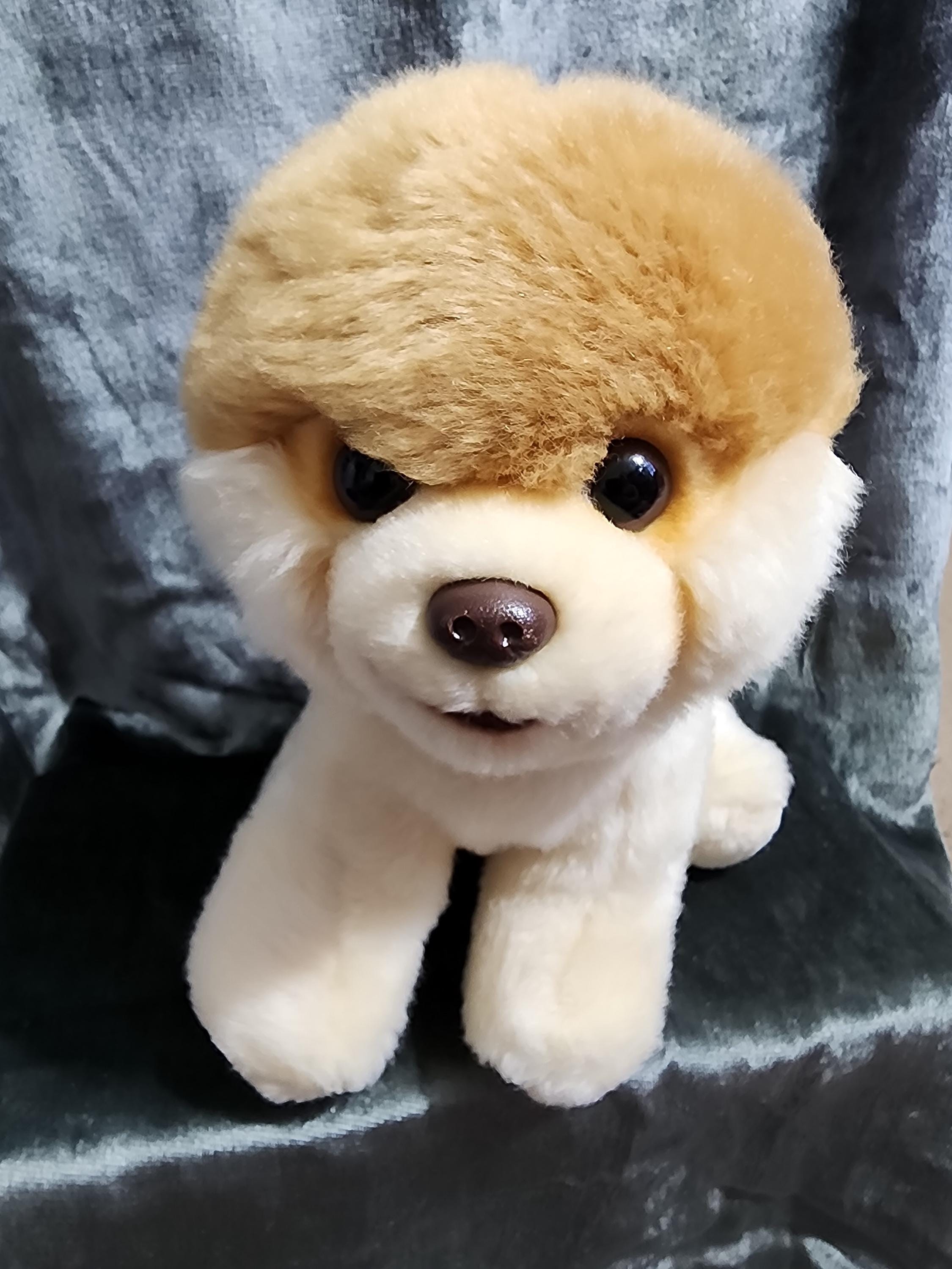 Worlds Cutest Dog Gund Plush - Etsy