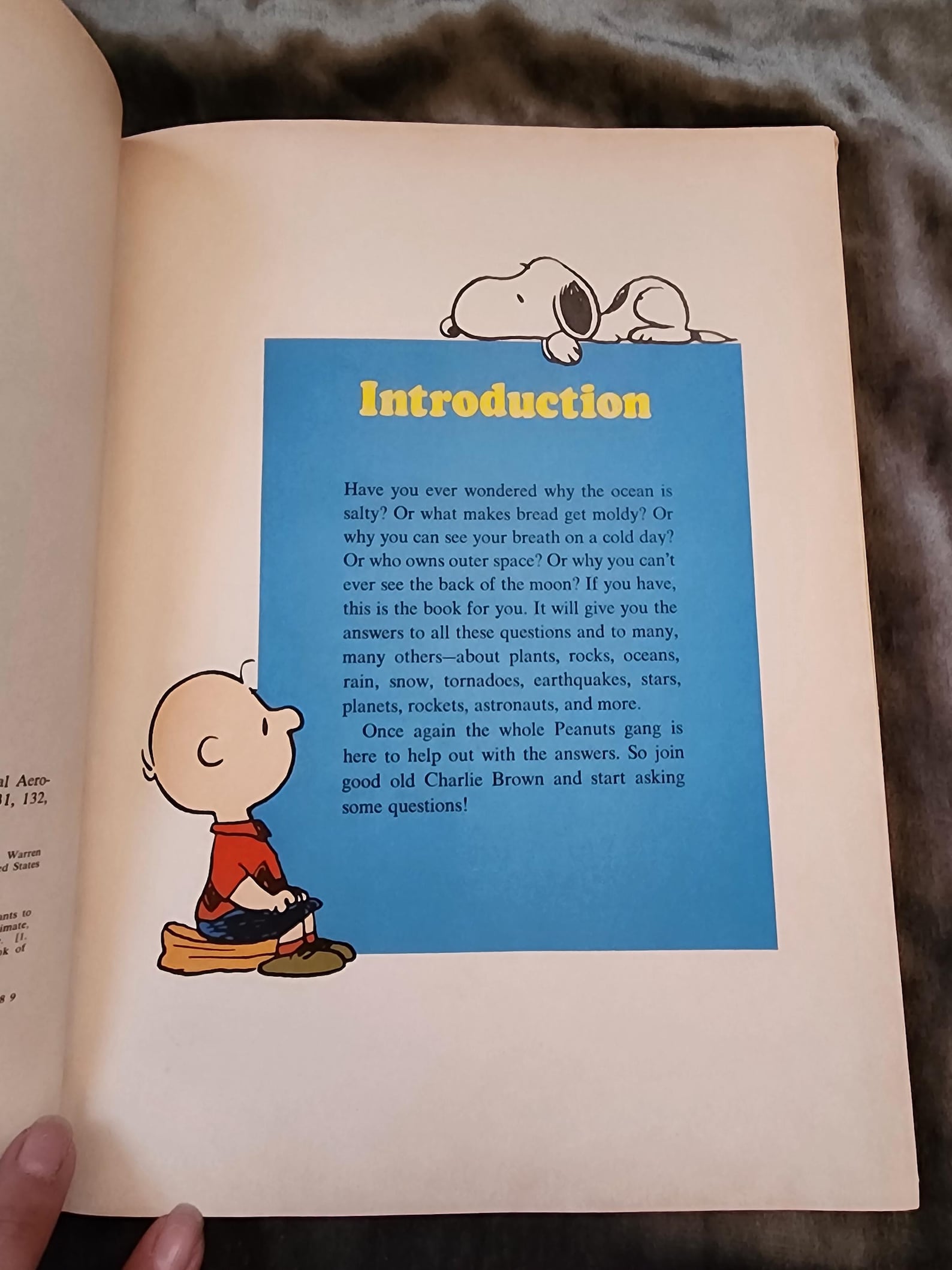 Vintage Charlie Brown Book - Etsy