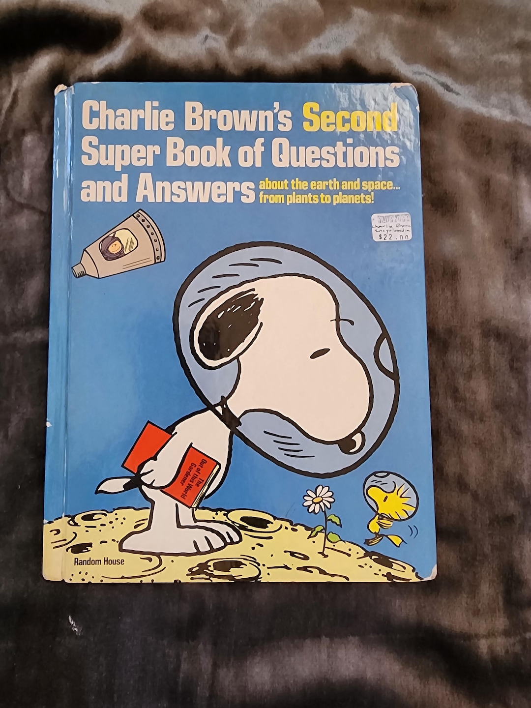 Vintage Charlie Brown Book - Etsy