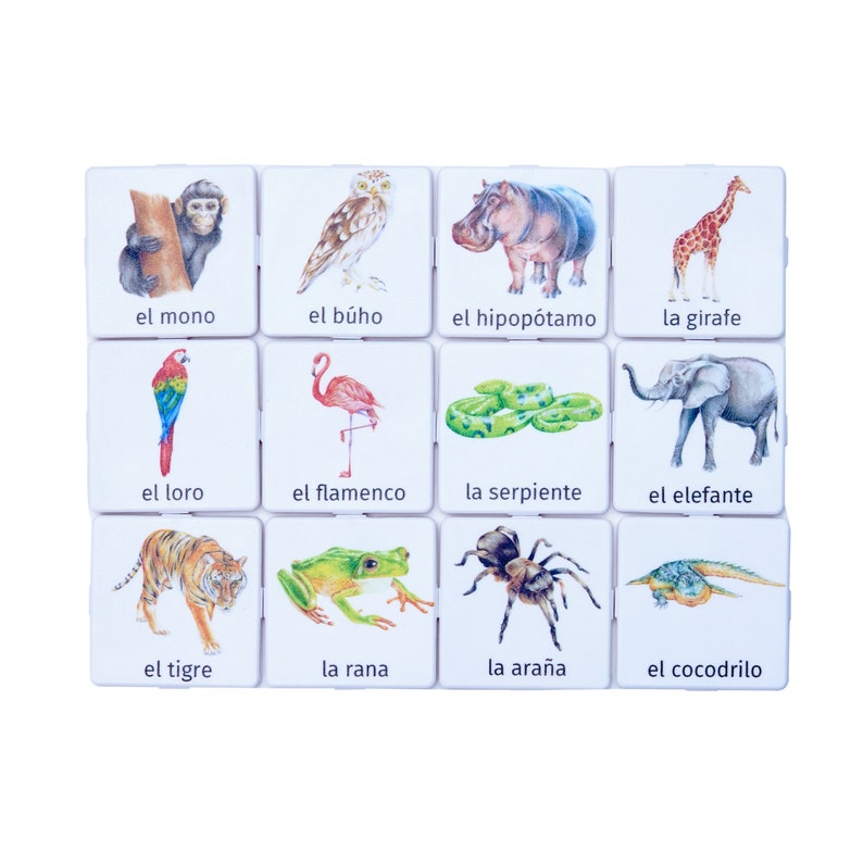 Passionfruit Kids Bilingual Learning Magnetic Tiles Spanish safari ...