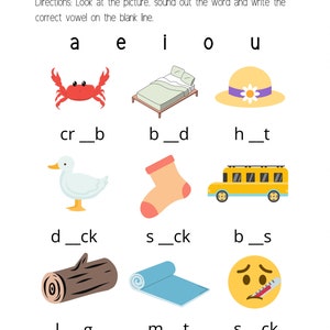 Fill in the Blank Short Vowels Worksheet - Etsy