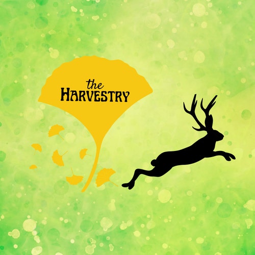 theHarvestry - Etsy