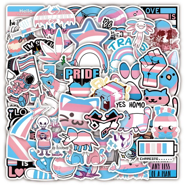 Trans Pride Sticker - Etsy
