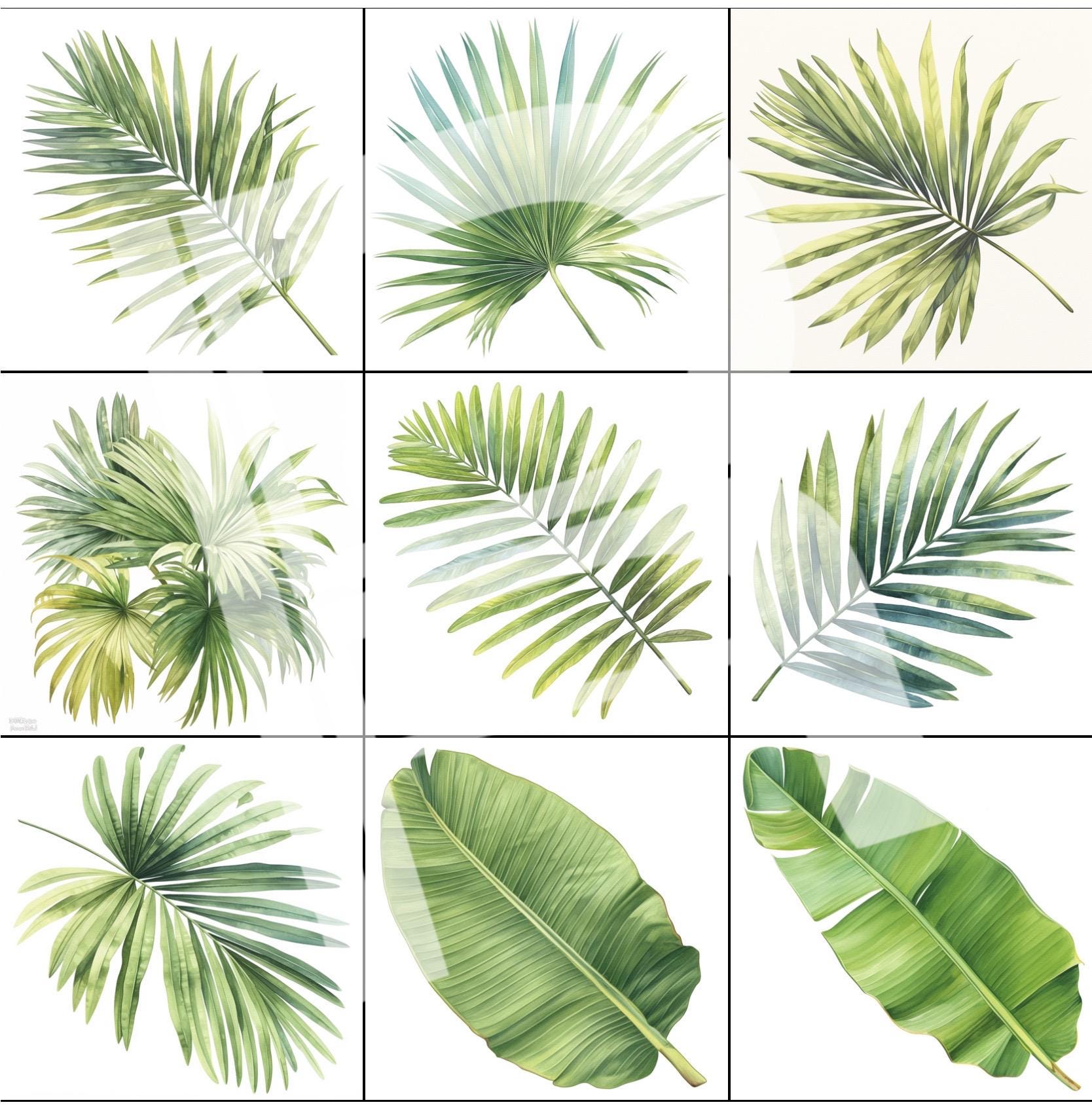 Tropical Leaves Clipart: Island PNG Bundle (digital Download) - Etsy