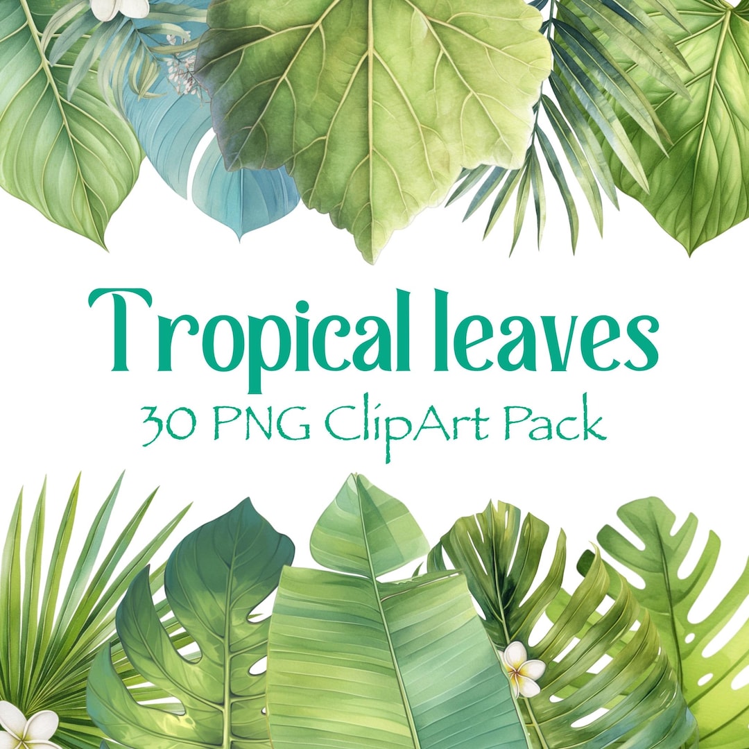 Tropical Leaves Clipart: Island PNG Bundle (digital Download) - Etsy