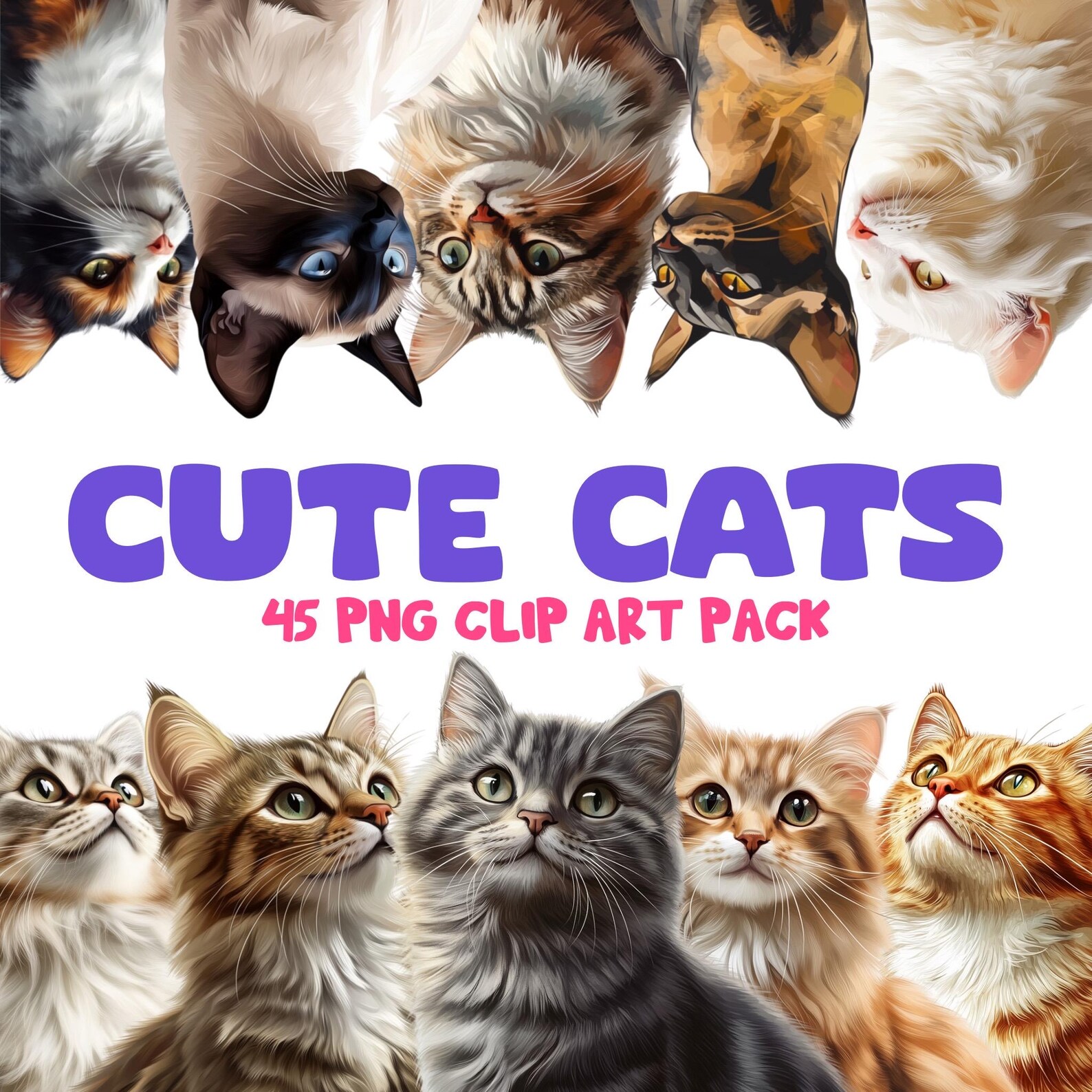 Cute Cats Clip Art PNG Bundle, Cats Clip Art PNG Pack, Cats and Kittens ...