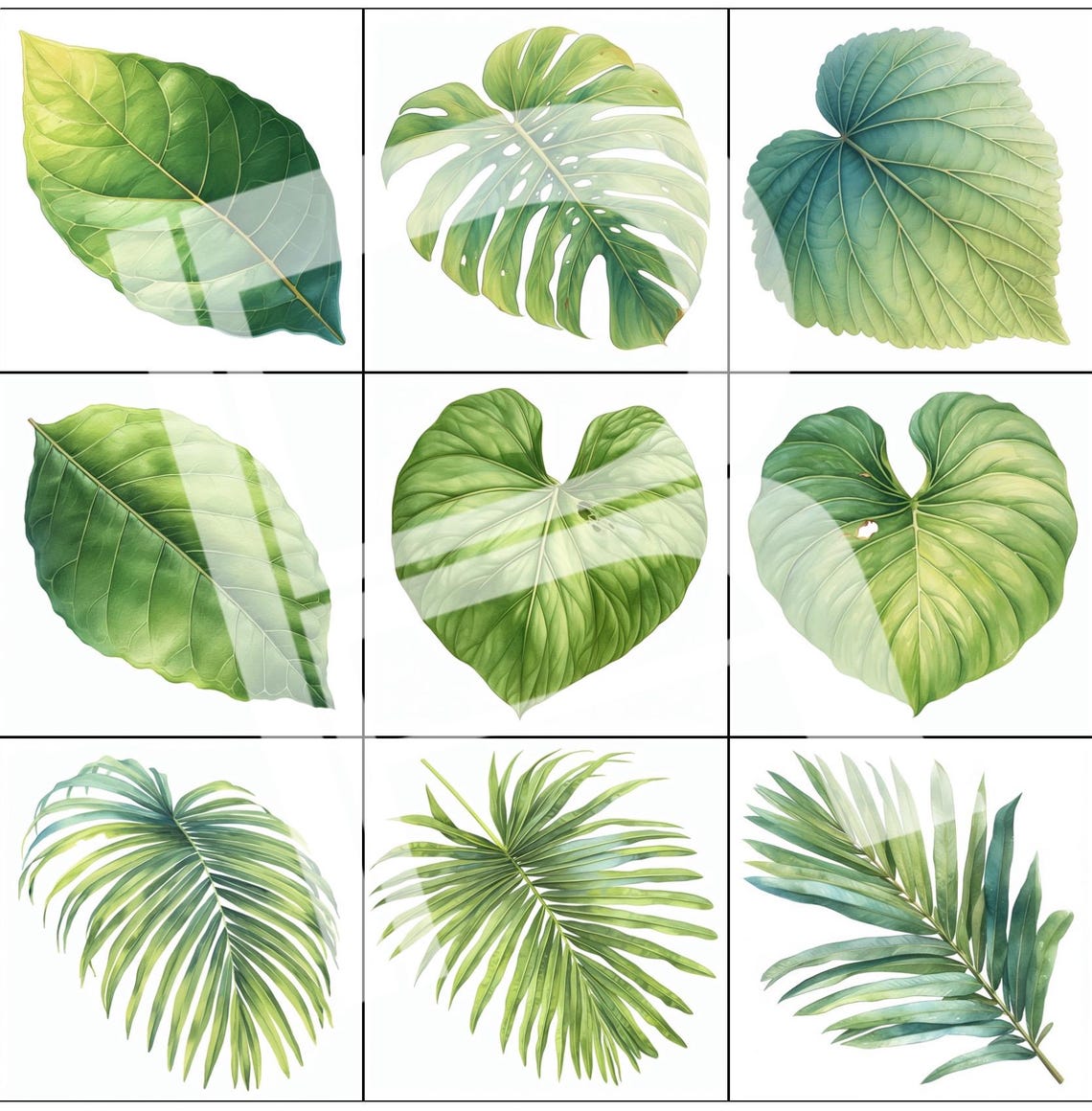 Tropical Leaves Clipart: Island PNG Bundle (digital Download) - Etsy