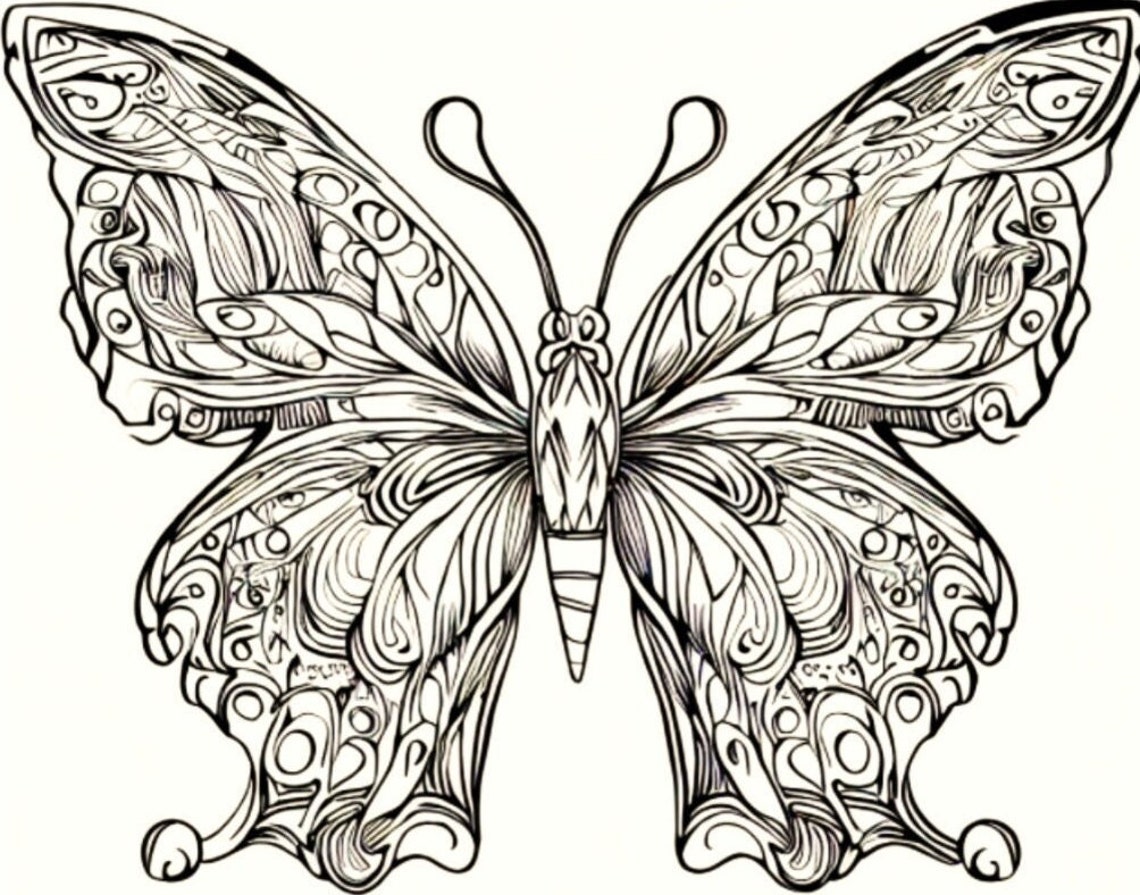 Butterfly Coloring Page, Printable Coloring Page, Digital Download ...