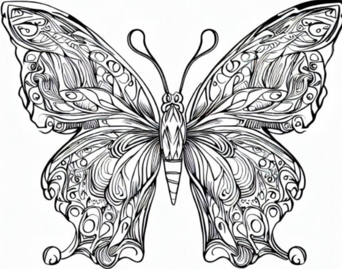 Butterfly Coloring Page, Printable Coloring Page, Digital Download ...