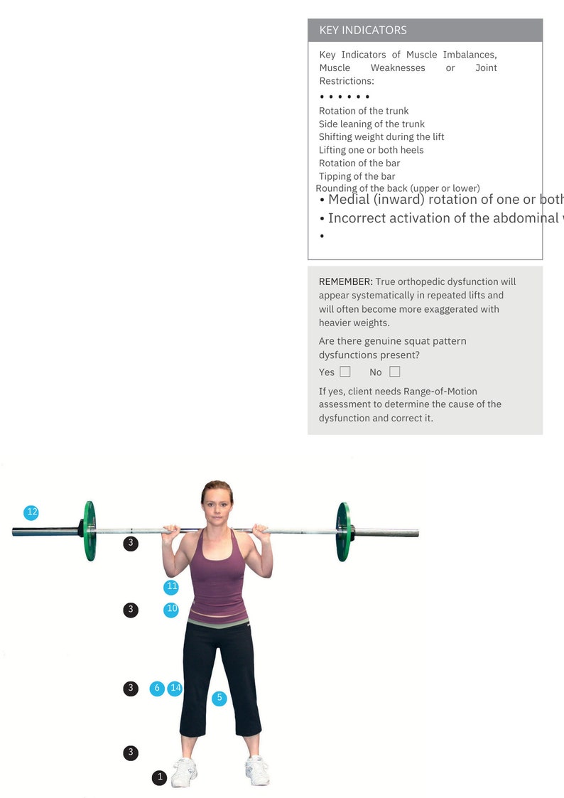 Gym Squat Assessment Form Checklist - for Personal Trainers - New Gym ...