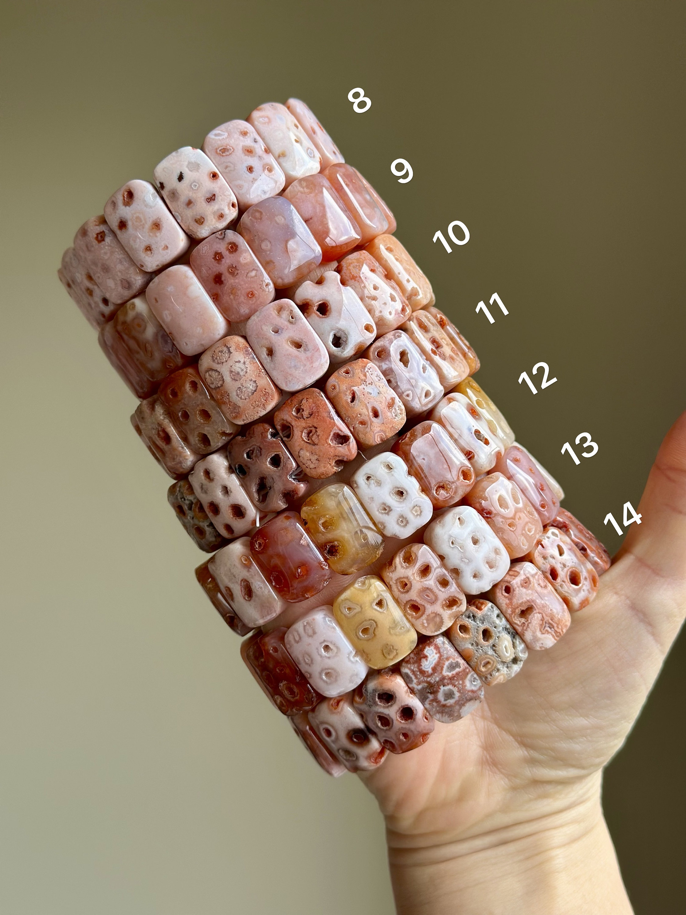 You Choose! Cheese-like Geode, Fossilized Coral, Coral Agate Bracelet ...