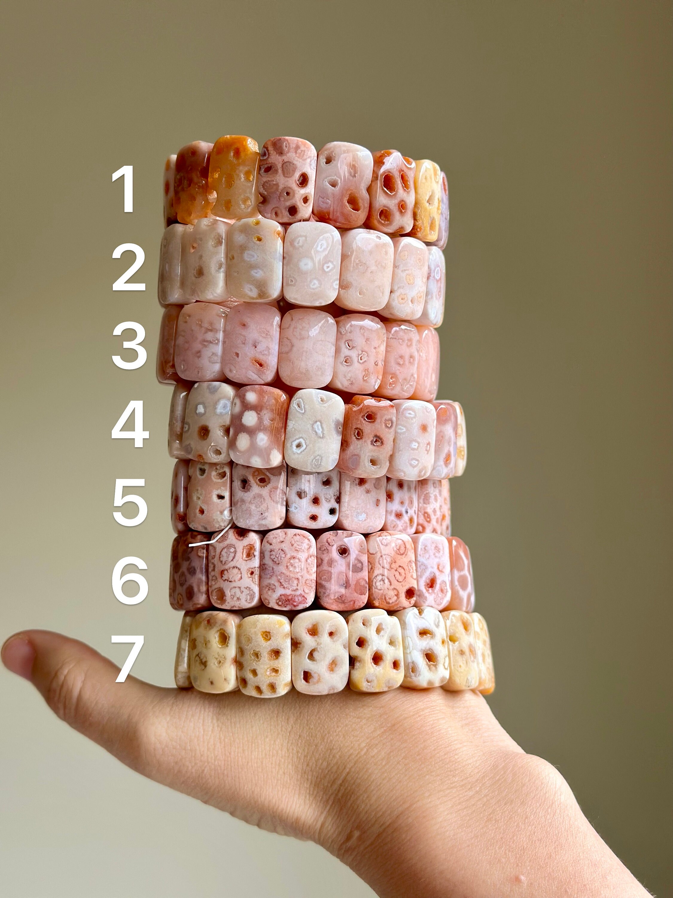 You Choose! Cheese-like Geode, Fossilized Coral, Coral Agate Bracelet ...