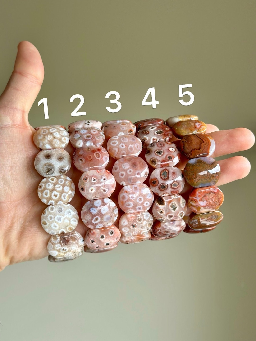 You Choose! Cheese-like Geode, Fossilized Coral, Coral Agate Bracelet ...